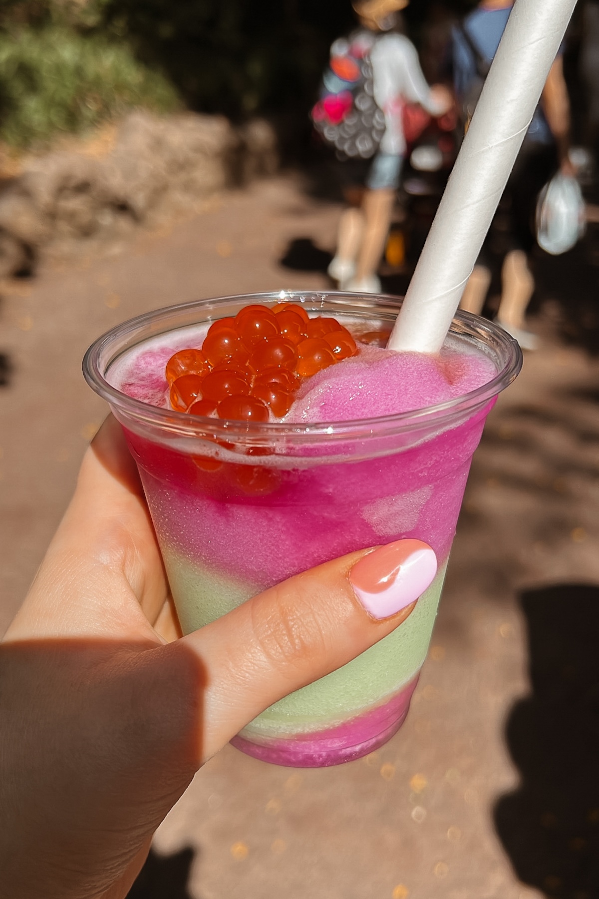 Disney Food Guide: Animal Kingdom - Vagrant Appetite
